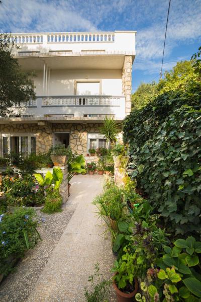 Violet - Horvátország