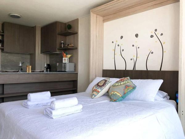 Charming Studio - W/mountain View, Pool, & Gym - Santiago, Chile