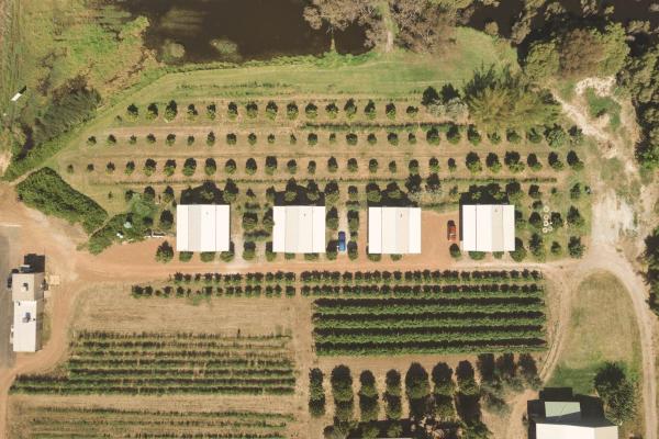Swan Valley Sisters - Perth