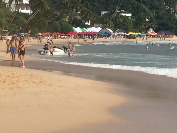 Margosa Guesthouse - Mirissa