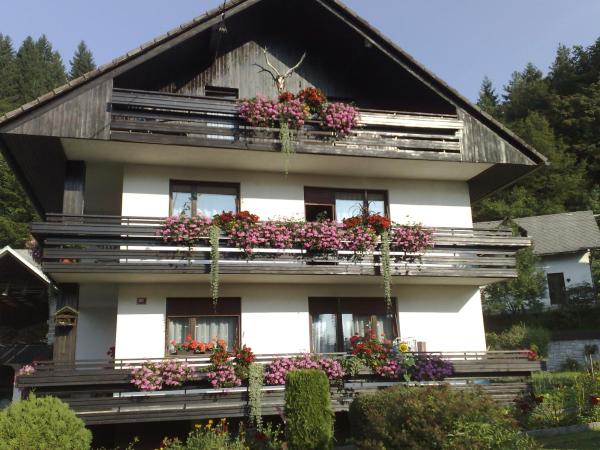Apartment Klemen - Bohinjska Bela