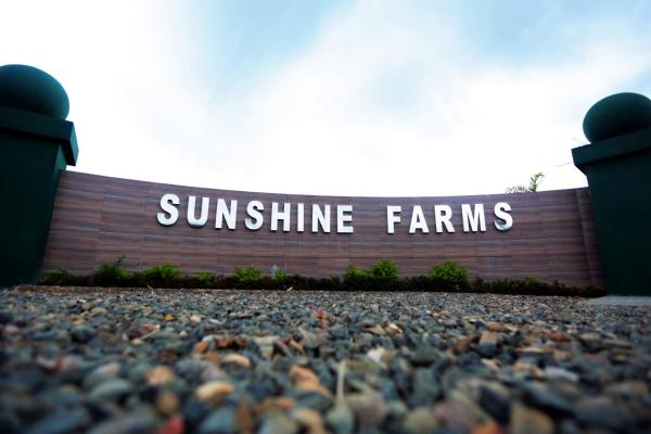 Sunshine Farms And Resort - Meghalaya