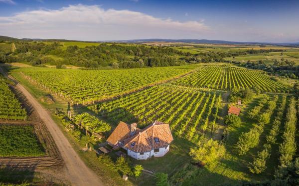 Robinson Vila Kitokret - Croacia
