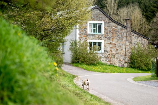 Harry's Place - Marche-en-Famenne