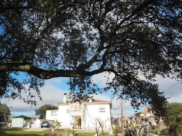 Villa Entre Encinas - Miranda do Douro