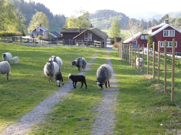 Skjerping Gård - Bergen