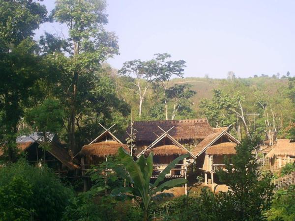 Hill Tribe Art House (Lahu & Akha Homestay) - Chiang Mai