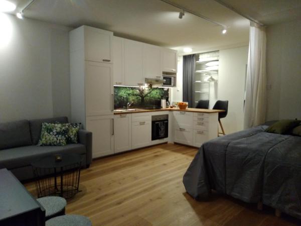 Studiohuoneisto Lohjan Keskusta - Lohja