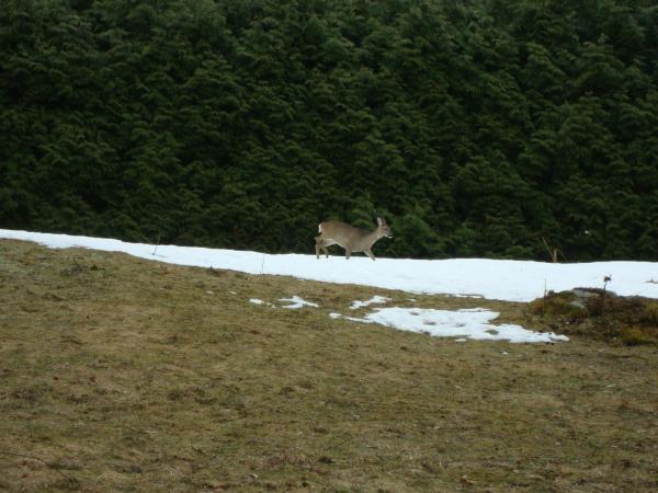 Le Manège Est - Les Contamines-Montjoie