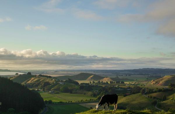 The Grange Lodge - Wairarapa