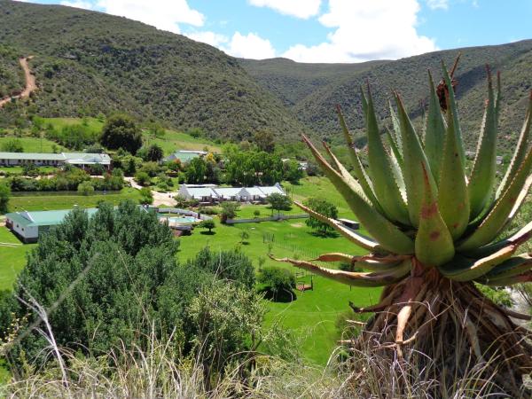 De Oude Meul Country Lodge & Restaurant - Western Cape