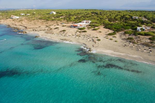 Apartamentos La Fragata - Formentera