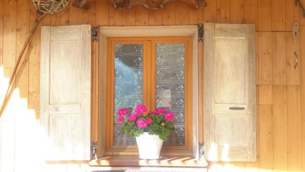 Le Perce Neige - Oz-en-Oisans