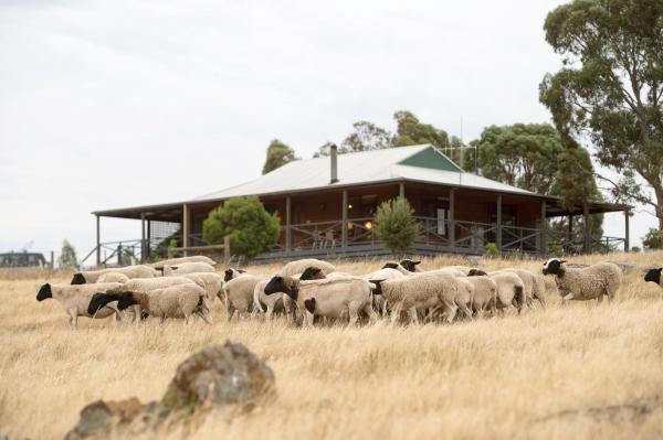 Gilgraves Vineyard Farmstay - Bendigo