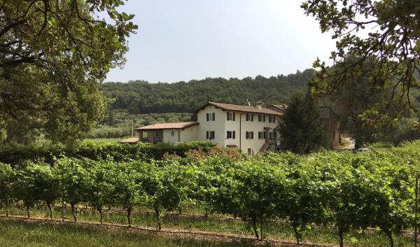Agriturismo Ca' Castellani - Bardolino