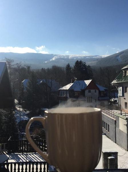 Grey Hill - Harrachov