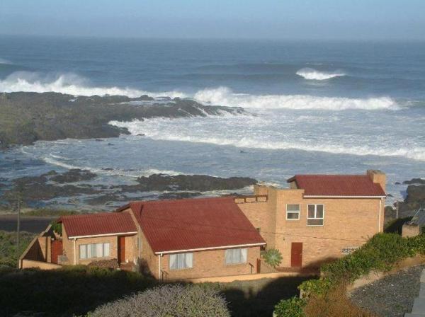 Lewens-essens On C - Yzerfontein