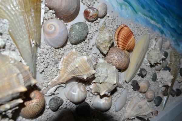 Seashell Art Decor Studio Apartment & Parking - Vlorë