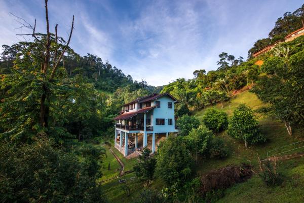 Rest Pause Rainforest Retreat - Bentong