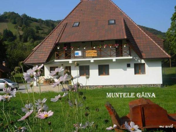 Pensiunea Muntele Gaina - Județul Cluj