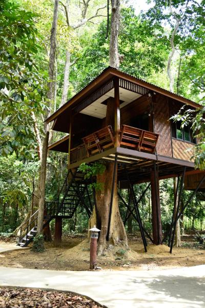 Khao Sok Nature Resort - Khao Sok