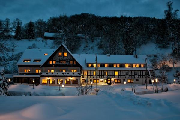 Tommes Gästehaus Zur Mühle - Willingen (Upland)