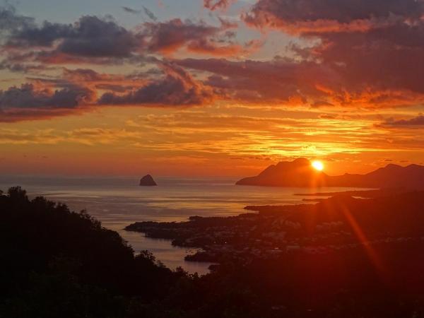 Les Fleuris 972 - Martinique