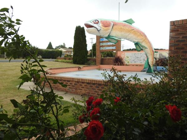 Big Trout Motel - Oberon