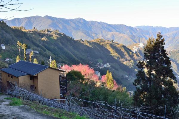 雲山仙境民宿-拉拉山 - 桃園市