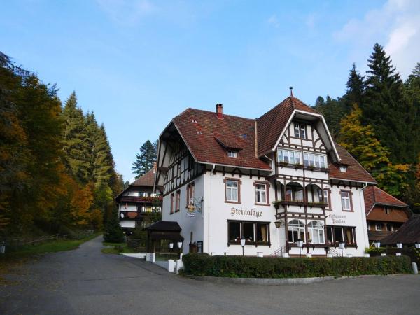 Hotel B&b Steinasäge - Black Forest