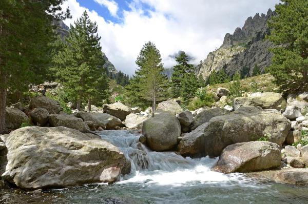 Stop Cité Paoline - Corte