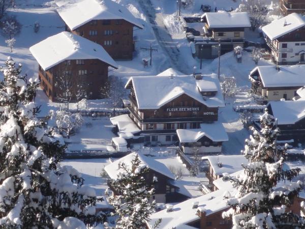 Fleur Des Neiges - Montriond