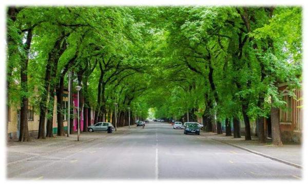 Bed&breakfast Intermezzo Caffe - Serbia