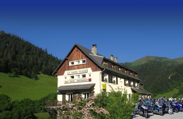 Hôtel - Restaurant - Bar - Le Sapin Fleuri - Loudenvielle