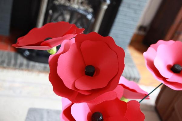 Temps De Pose - Ieper