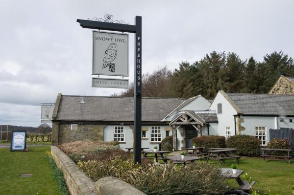The Snowy Owl By Innkeeper's Collection - Morpeth