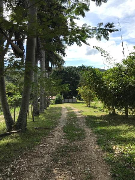 Cabañas Maya Rue - Tabasco