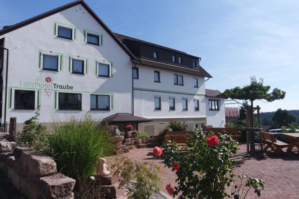 Landhotel Traube - Altensteig