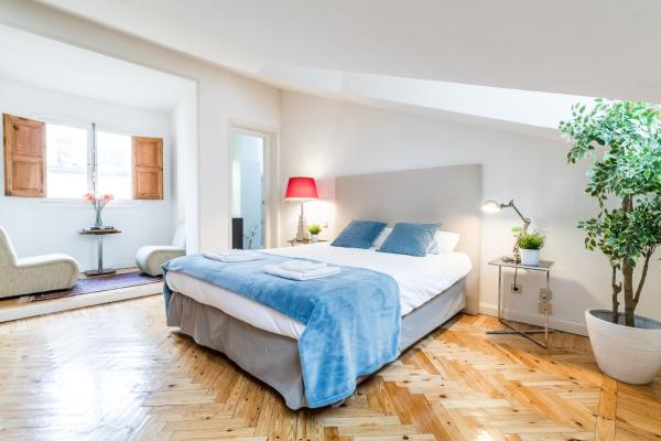 Duplex Plaza Mayor City Center - Madrid