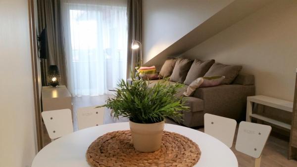 Malūno Vilos Apartamentai Centre - Lithuania