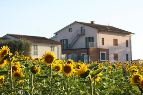 La Collina Del Girasole - Terni