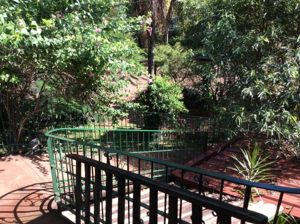 Zorzal 1 - Provincia de Misiones