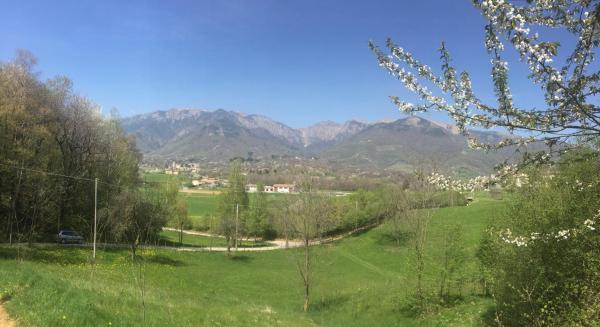 Boccaor - Veneto