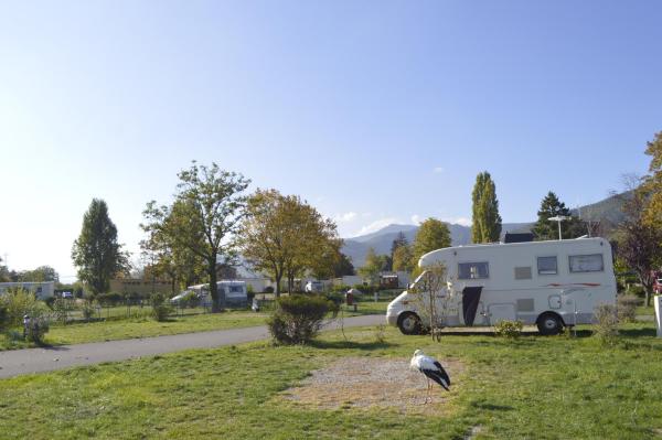 Camping Le Médiéval - Haut-Rhin