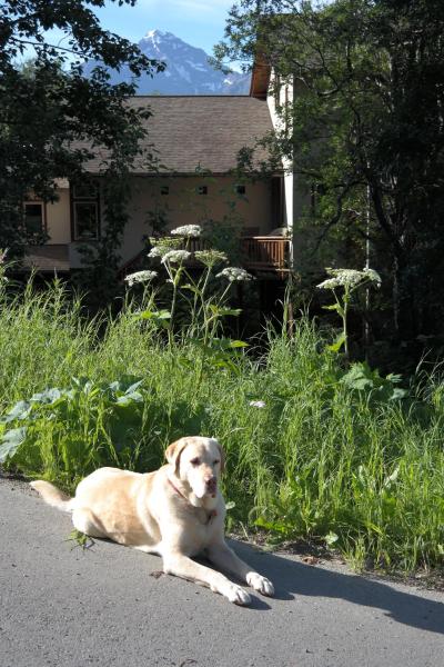 Eagle Peak Guesthouse - Anchorage, AK