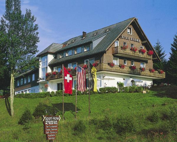 Double Room - Hotel Diana In Feldberg (Black Forest) - Titisee-Neustadt