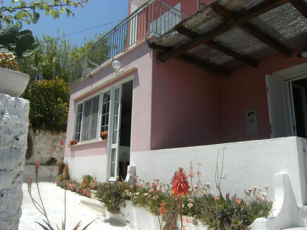 Magi - Glicine - Ponza