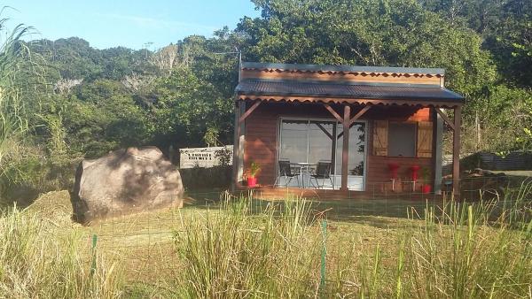 Prune De Coton - Deshaies