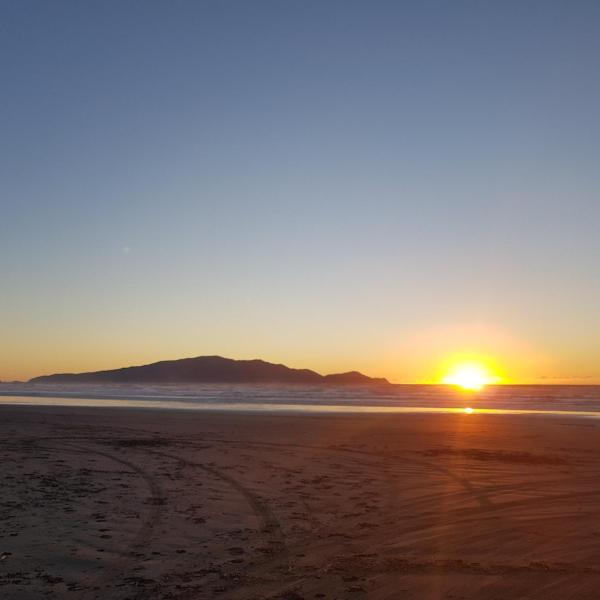 Near The Shore - Waikanae