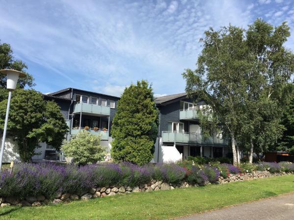 Haus-deichläufer - Meldorf